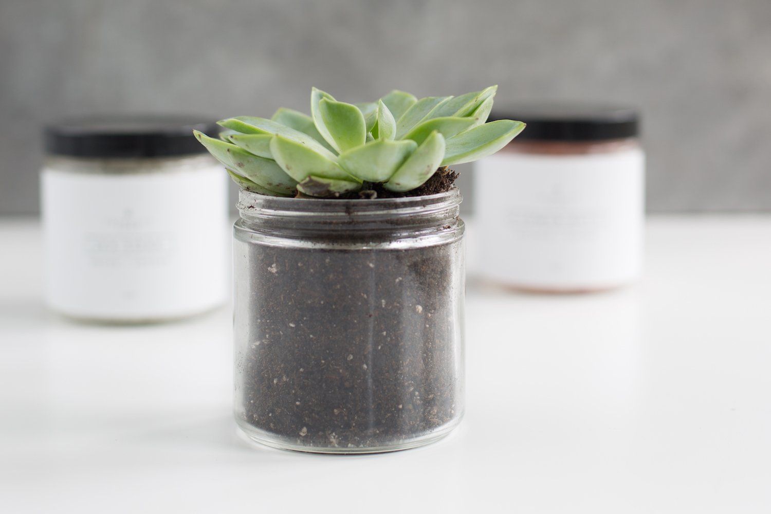 5 Ways to Reuse Your Empties – Primally Pure