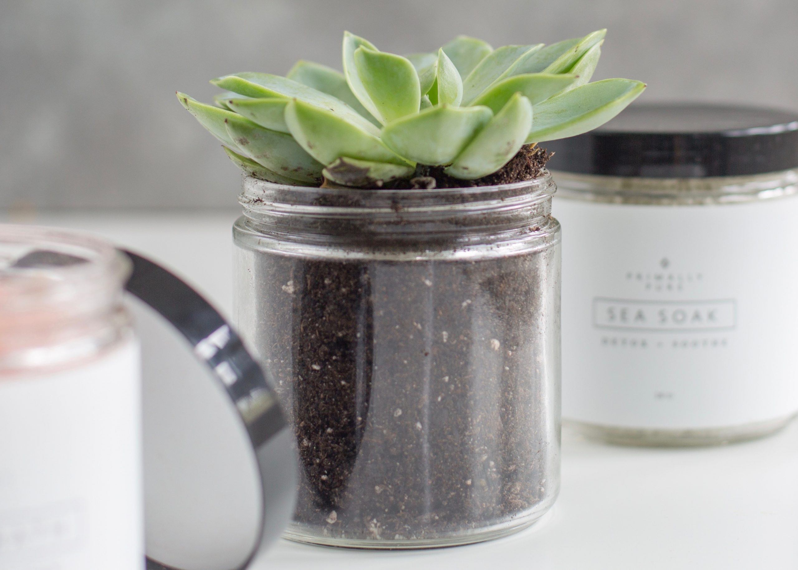 7 Ways To Repurpose Empty Skincare Containers | Primally Pure Skincare