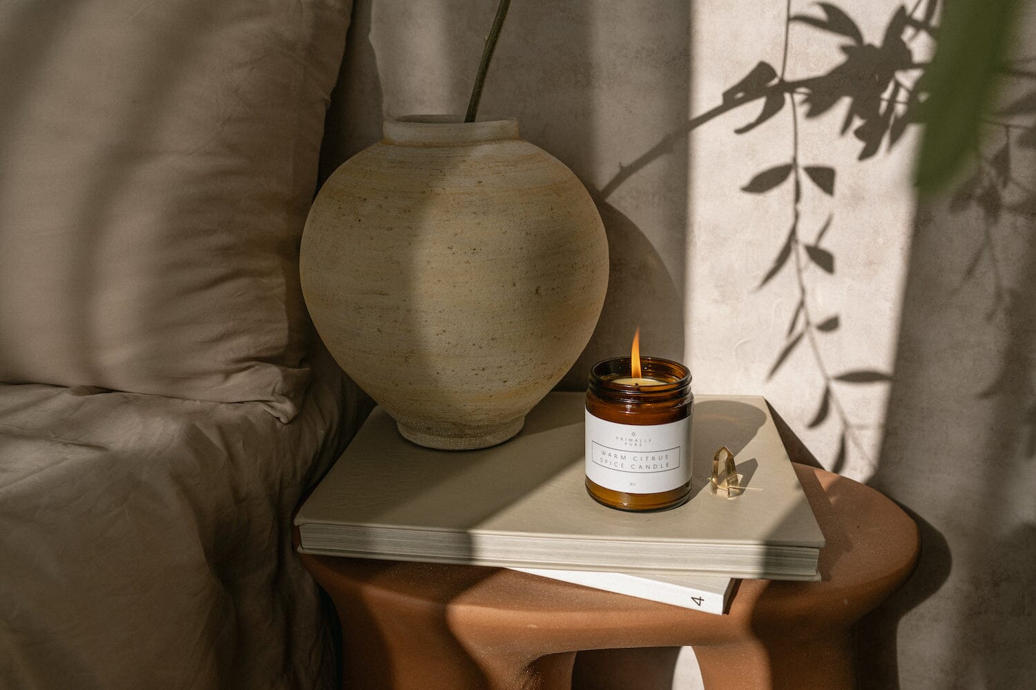 Getting Rid of Mold + Mold Prevention | Primally Pure Skincare