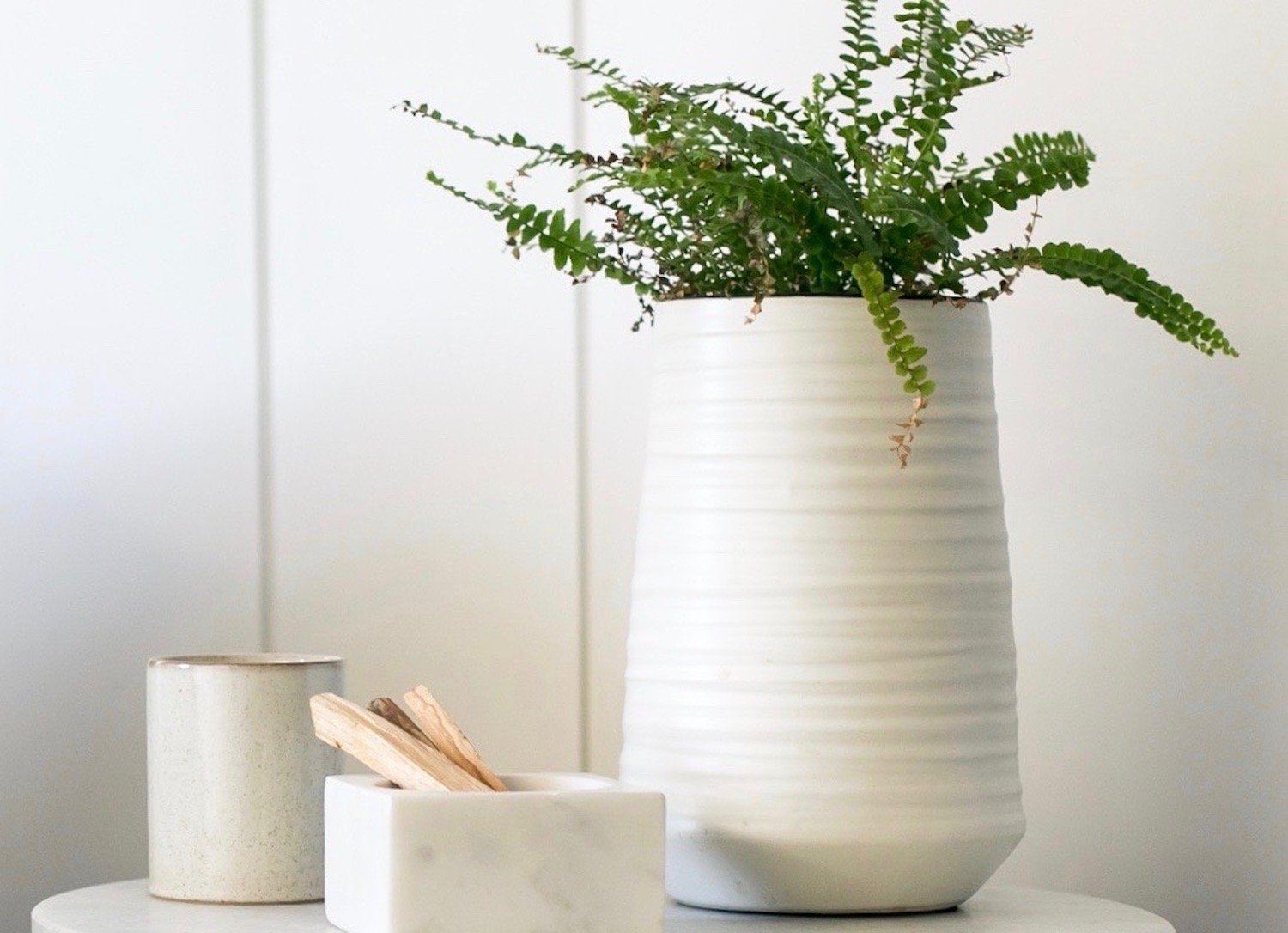 Hidden Toxins In Your Home And How To Remove Them | Primally Pure
